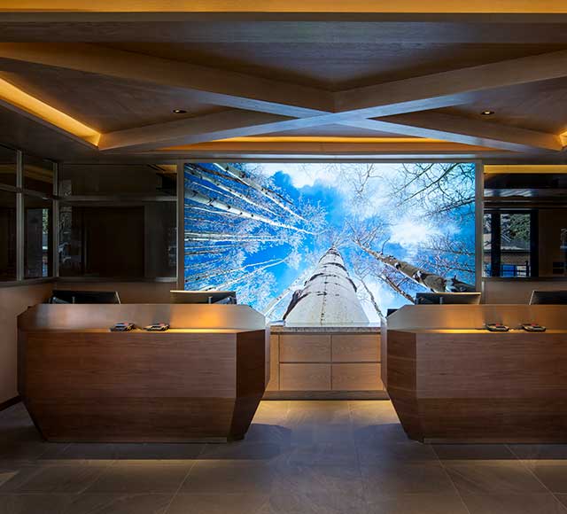 Aspen Hotel | Ski Resort in Aspen, CO | Limelight Hotels