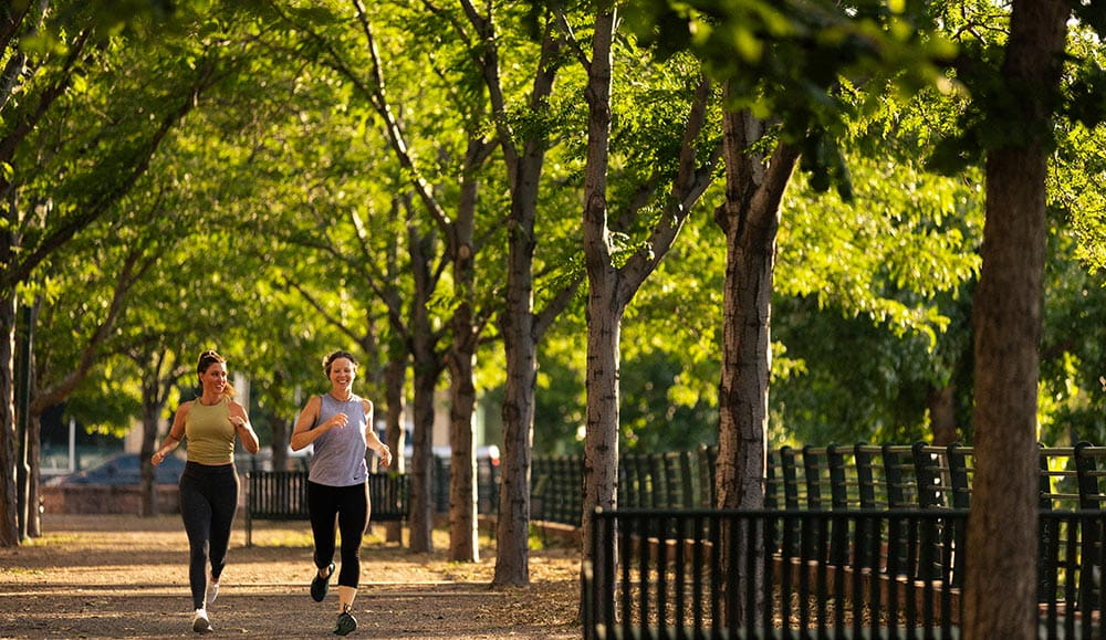 Hotel Deals in Downtown Denver, CO | Limelight Hotel Denver